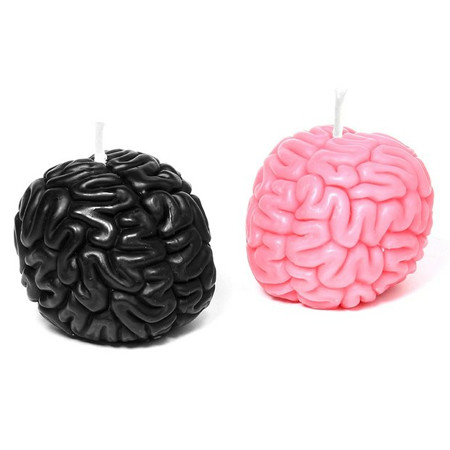 Cranial Capacity : Brain Candle Set - myplasticheart