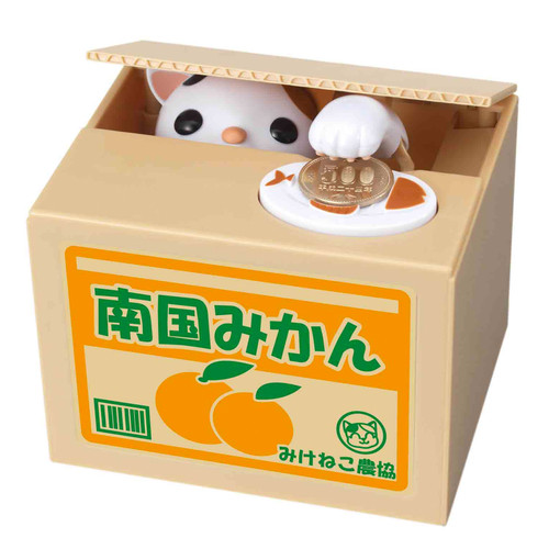 Cat in Box Bank - myplasticheart