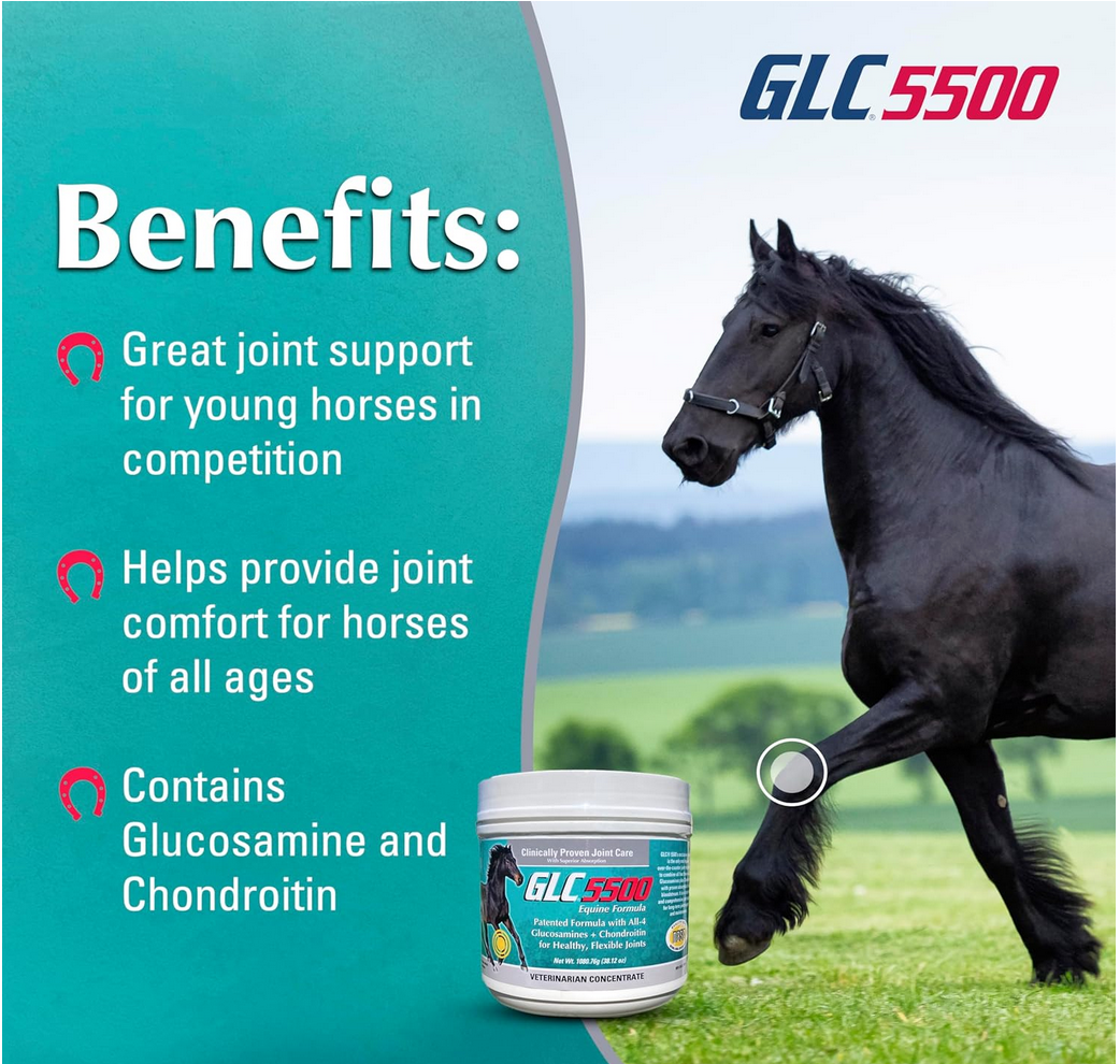 GLC 5500® 1085.5 g (38.28 oz) Equine Powder - GLC Direct, LLC