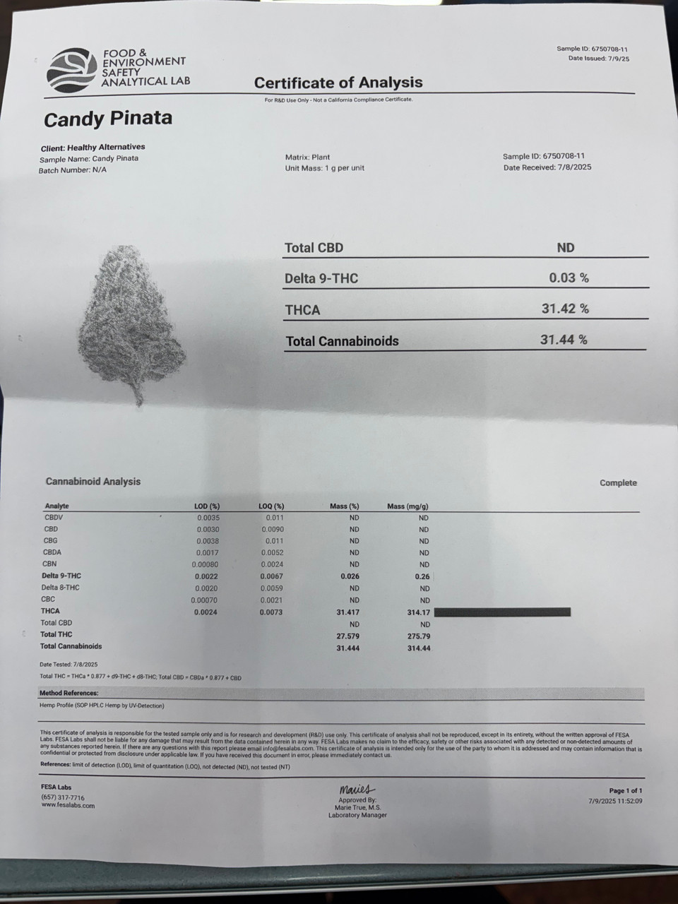 Candy Pinata Ultra-Exotic THCa Flower (Hybrid)