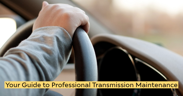 Your Guide to Professional Transmission Maintenance - Dusty's Transmissions