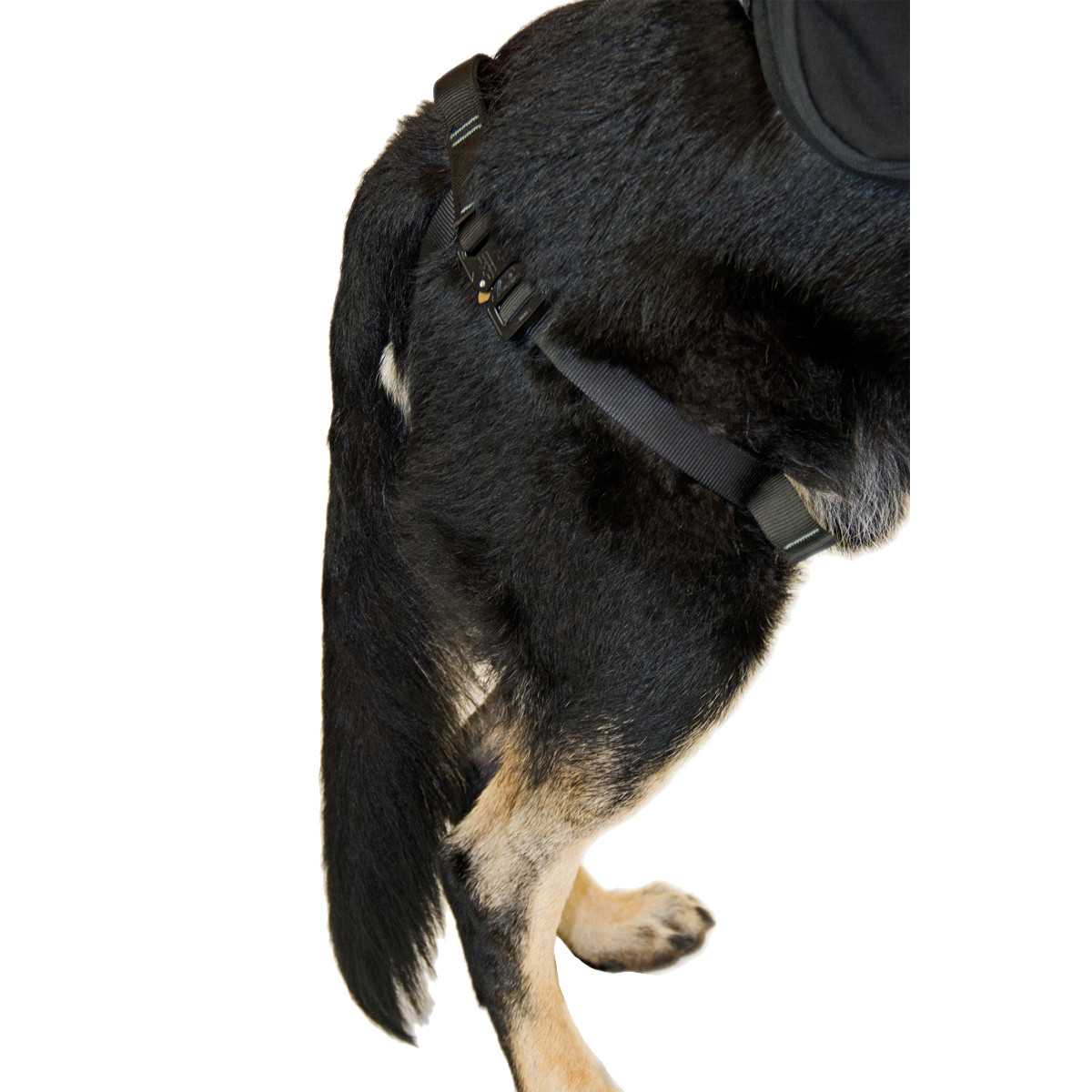 Shop CMC K9 ProSeries Rappel Harness by CMC for police