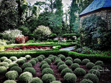 Elizabethan Garden - Designs and Expressions