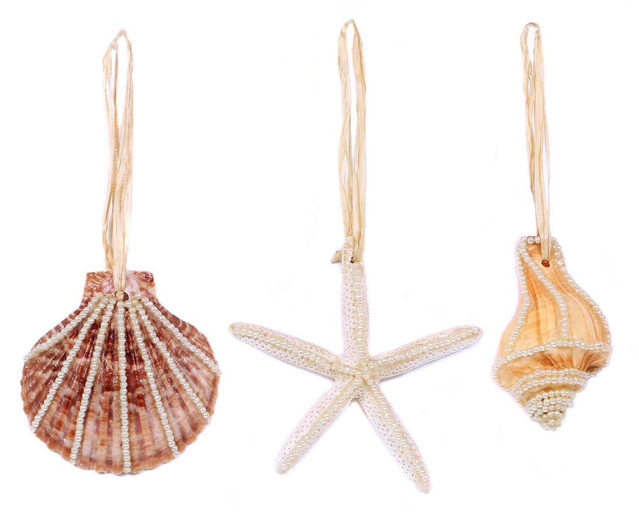 Angel Sea Shell Ornament #13507 Nautical Seasons