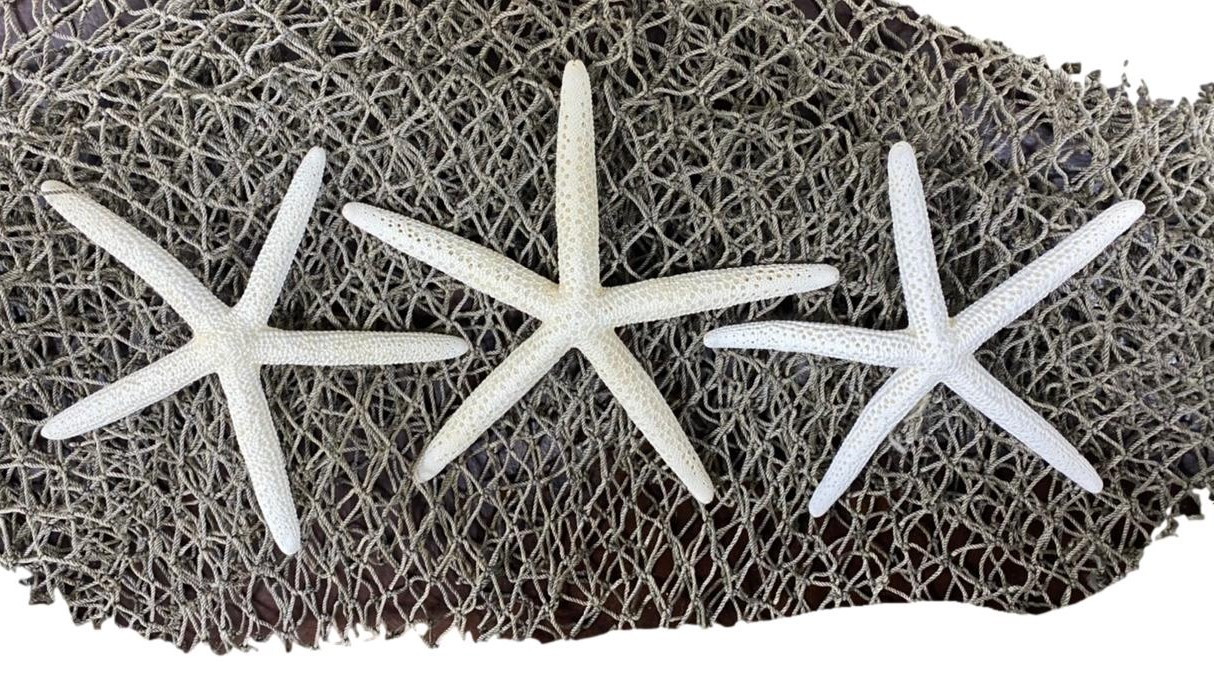 Nautical Seasons Fish Net with Shells / Floats Toll Free 866-888-2628