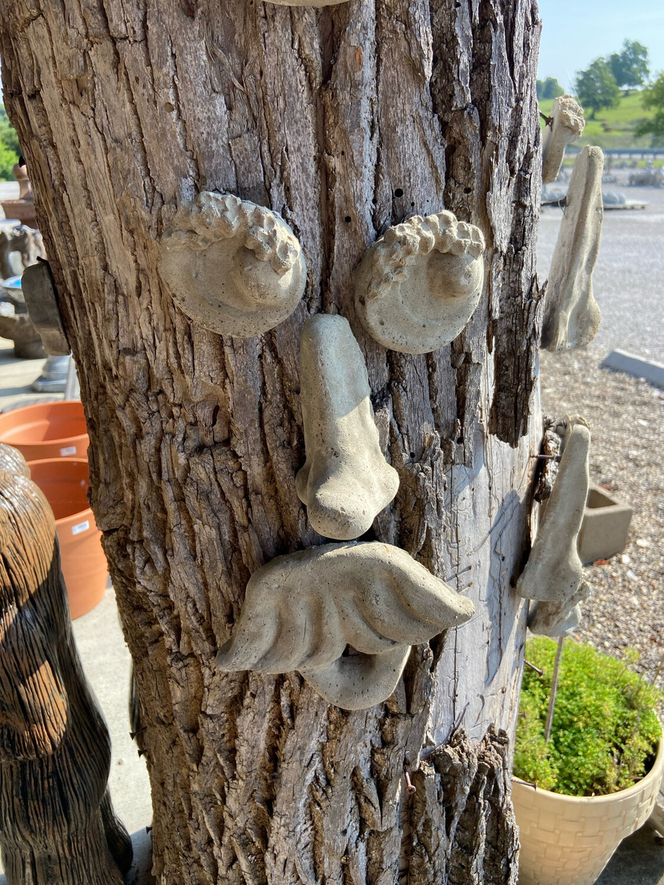 Tree Face - Allison's Concrete & Gifts