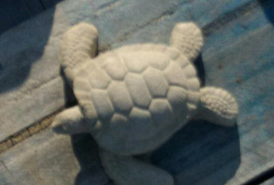 Tiny Sea Turtle - Allison's Concrete & Gifts