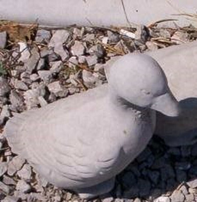 Smooth Duck - Allison's Concrete & Gifts