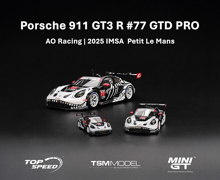 "Skeleton Rexy" Porsche 911 GT3 R #77 AO Racing 2025 IMSA Petit Le Mans ...