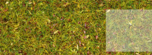 Scatter Grass Flower Meadow 2.5mm 20g - CJ Vogler & Son Tax