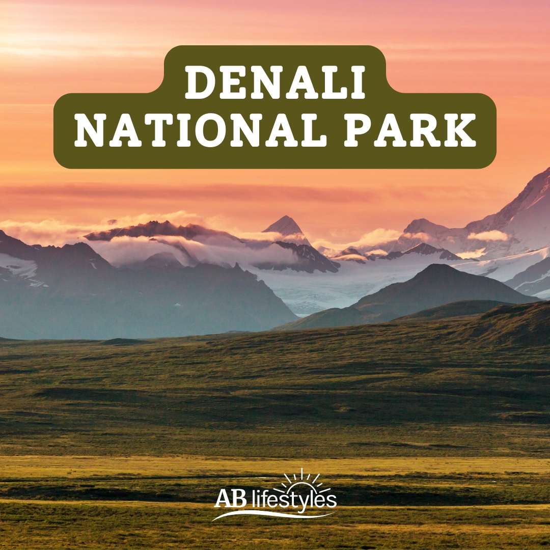 Denali by RV: A Drive on Alaska’s Wild Side - AB Lifestyles | Airstream ...