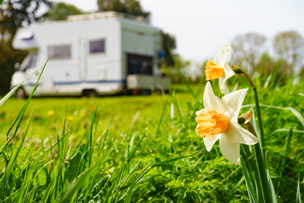 6 Steps to a Spring Refresh for Your RV Bedding - AB Lifestyles ...