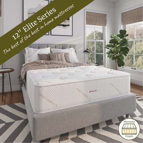 Organic memory foam mattress store