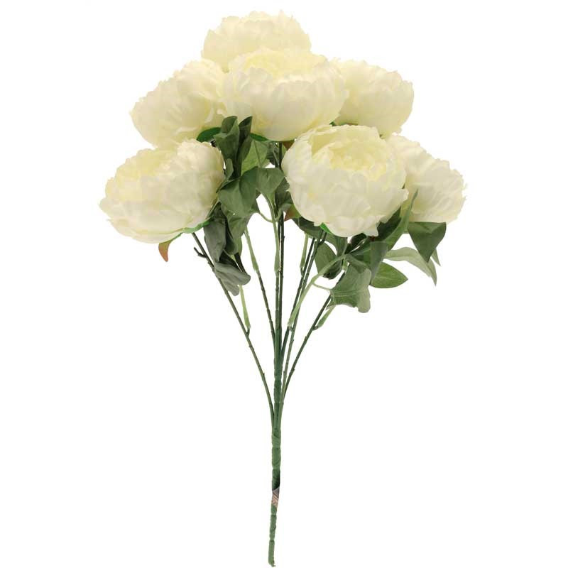 King Peony Cream (7 heads) - Interflora Marketplace
