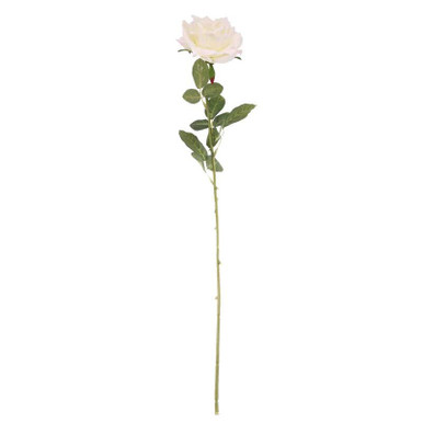 Arundel Open Rose Ivory - Interflora Marketplace