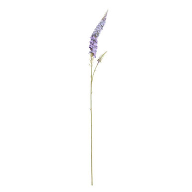 Veronica Spray Blue - Interflora Marketplace