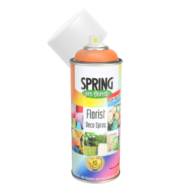 Pumpkin Euro-Aerosols Spray Paint (400ml) - Interflora Marketplace
