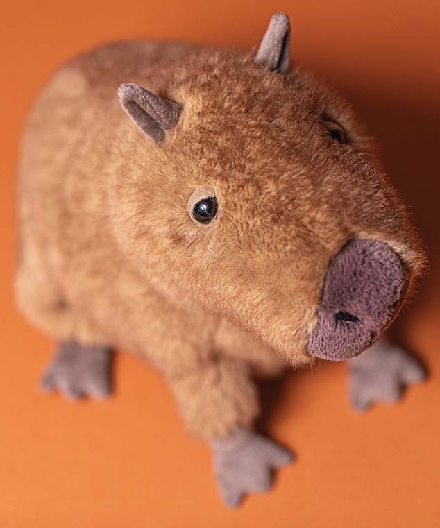 Official Jellycat Store | Jellycat Soft Toys & Gifts