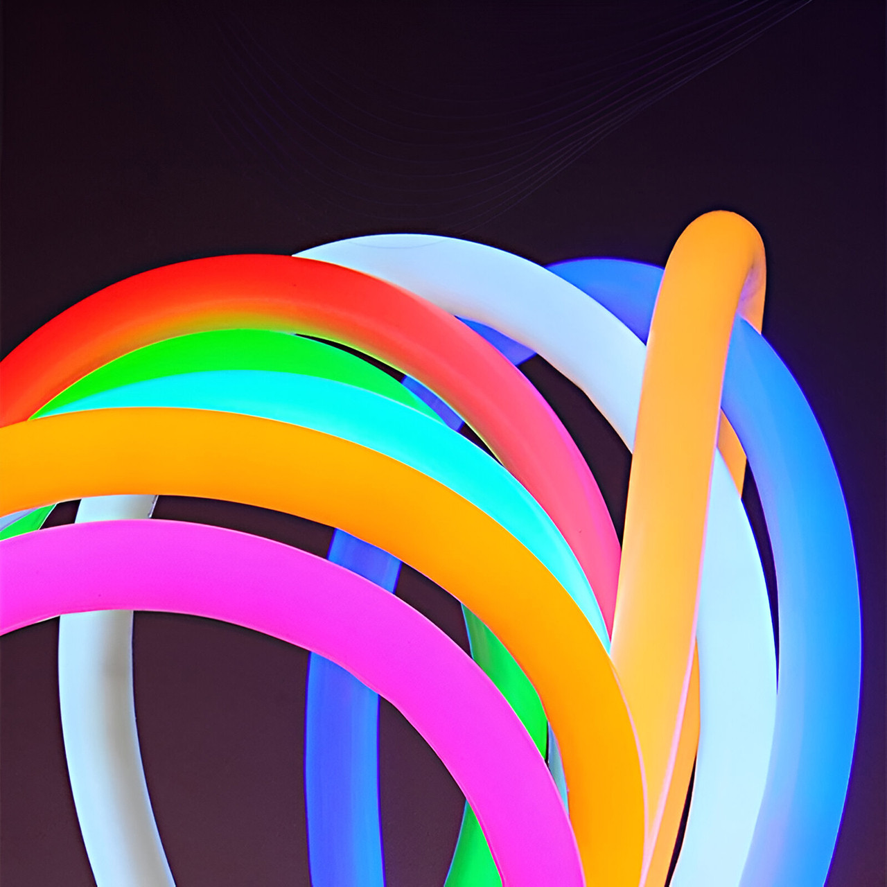 24V RGB 360 Round LED Neon Rope Light 16.4' | Birddog Lighting