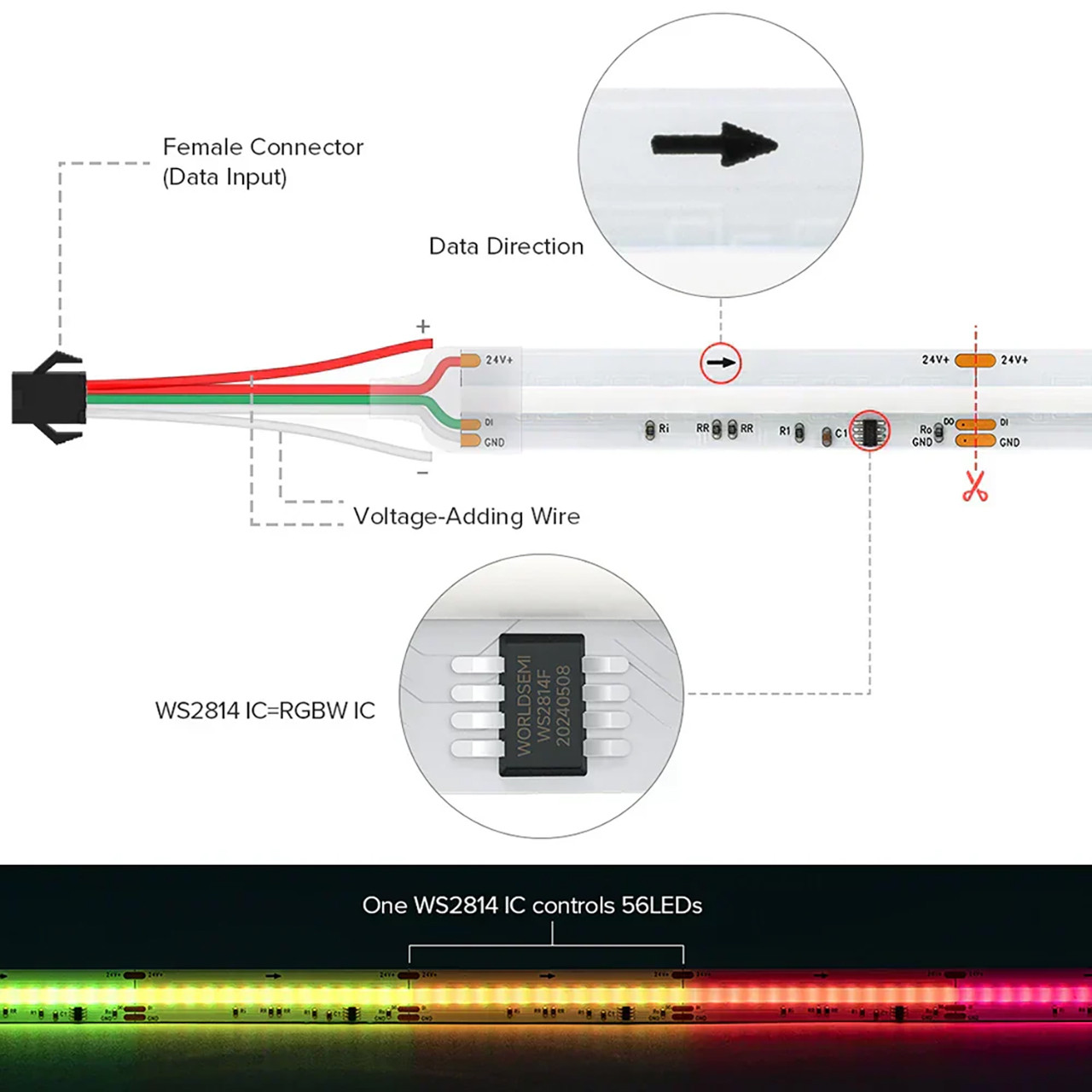 24V RGBWW IC FCOB LED Strip Light | Birddog Lighting
