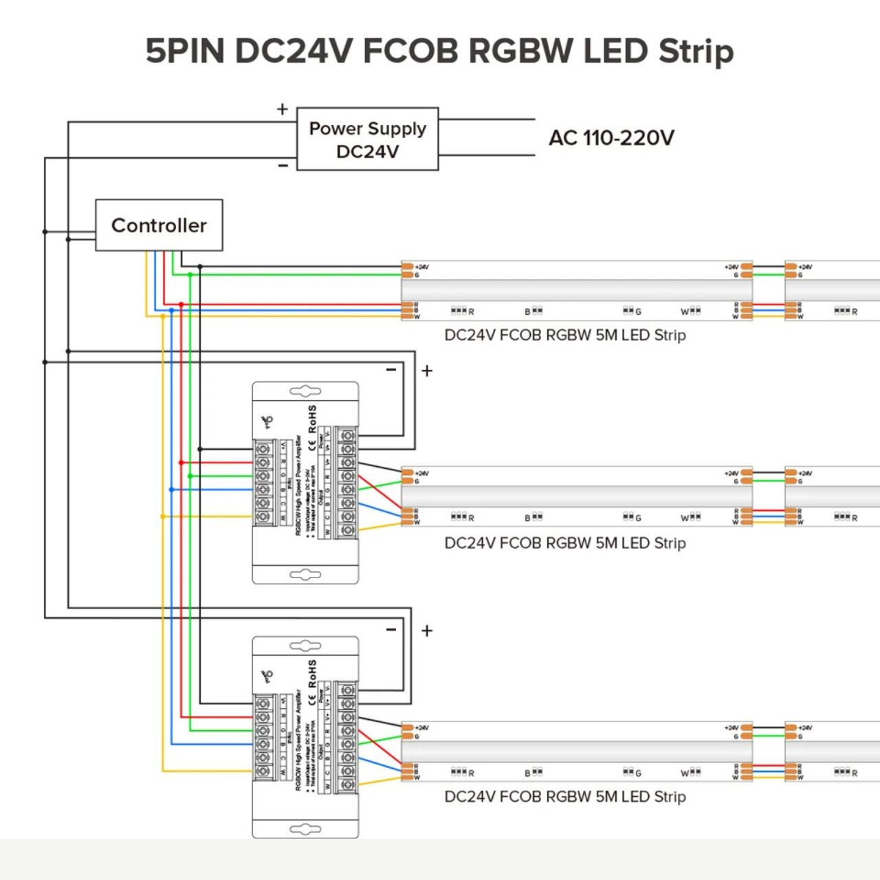 5 Channel Signal Amplifier RGBCCT| Birddog Distributing