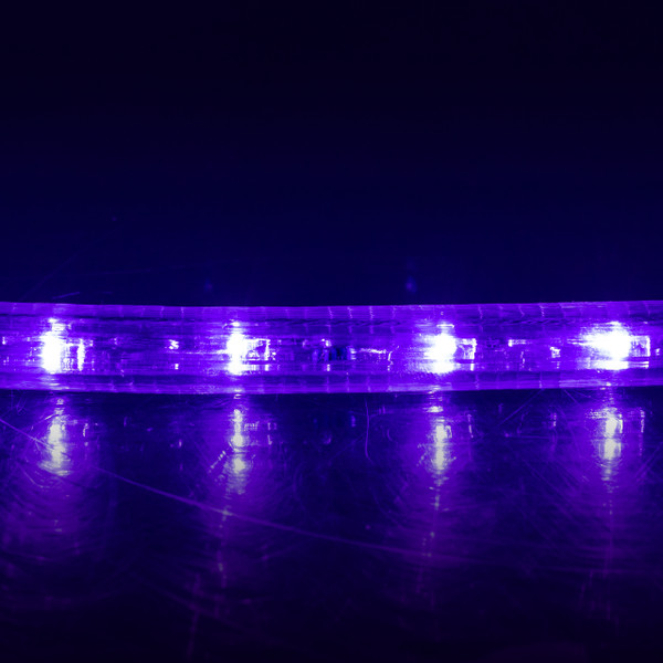 Custom Cut Purple 120V LED Rope Light - Birddog Lighting