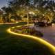 Variable/Tunable White LED Neon Lights 120V | Birddog Lighting