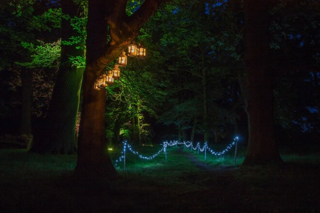 Creative Ways to Use Rope Lights in Your Backyard - Birddog Lighting