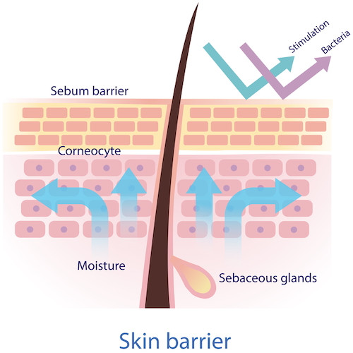 Mollenol for better skin. Mollenol Sensitive and Hydrocolloid Patches.