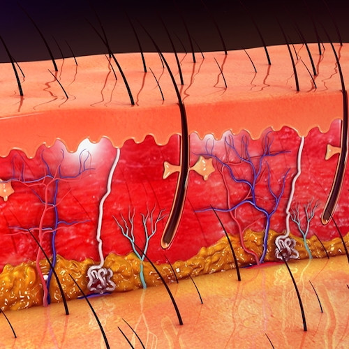 Mollenol for better skin. Mollenol Sensitive and Hydrocolloid Patches.