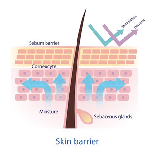 Mollenol for better skin. Mollenol Sensitive and Hydrocolloid Patches.