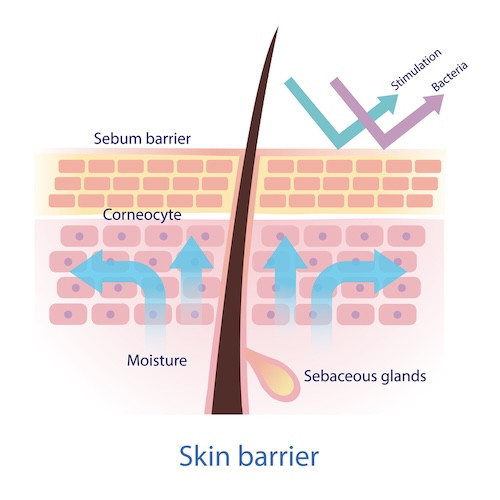 Mollenol for better skin. Mollenol Sensitive and Hydrocolloid Patches.