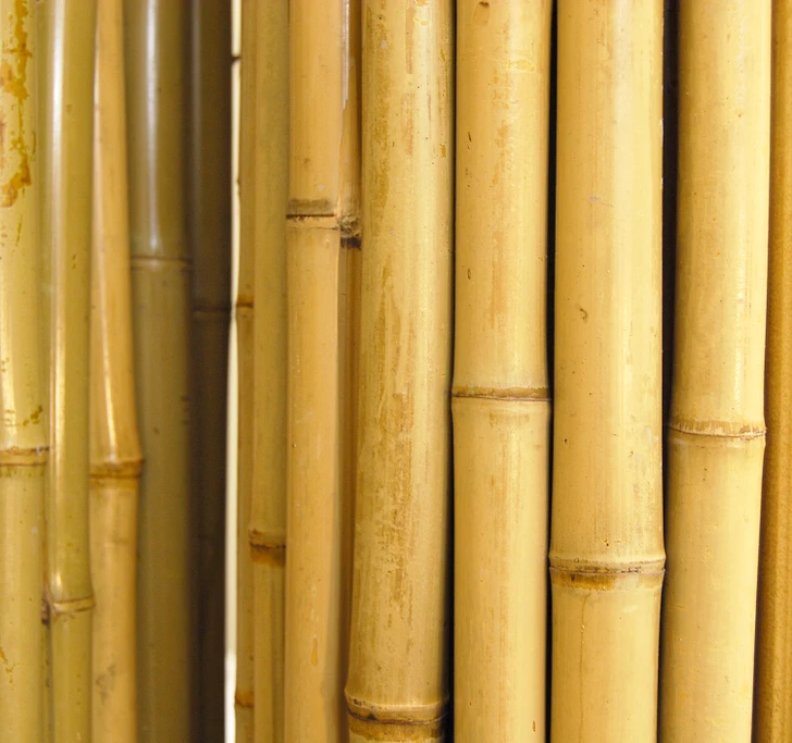 Natural Bamboo Rolled Fence - 1" x 3' x 8' | Forever Bamboo