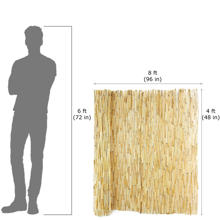 Peeled Reed Natural Fencing - 4ft. H x 8ft. L (2 Pack, Total 16FT Long)