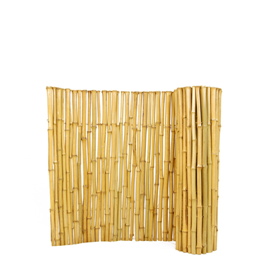Natural Finish Bamboo Fence 3/4" x 3' x 8' | Forever Bamboo