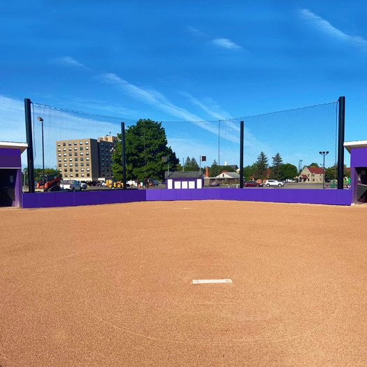 BallStopper Backstop Netting - Cable Design