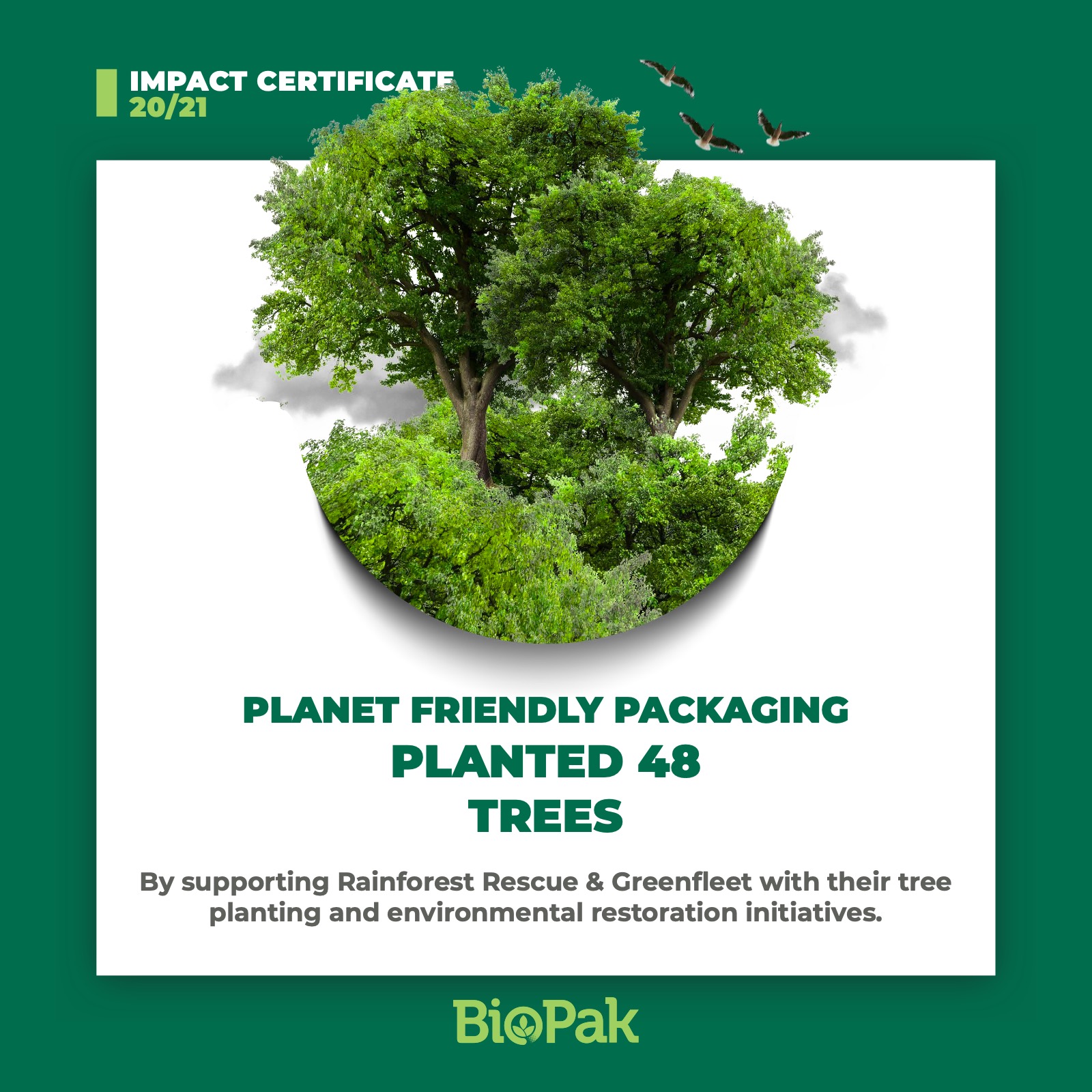 Our 2020/2021 Positive Impact - Planet Friendly Packaging Pty Ltd