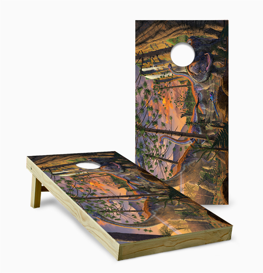Licensed Artwork Cornhole Sets - Page 3