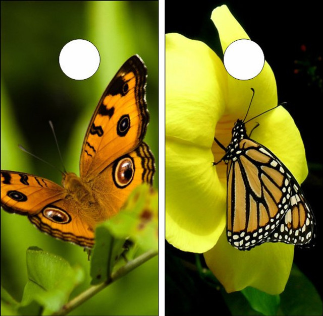 Butterflies Version 2 Cornhole Set with Bags - Custom Cornhole, LLC