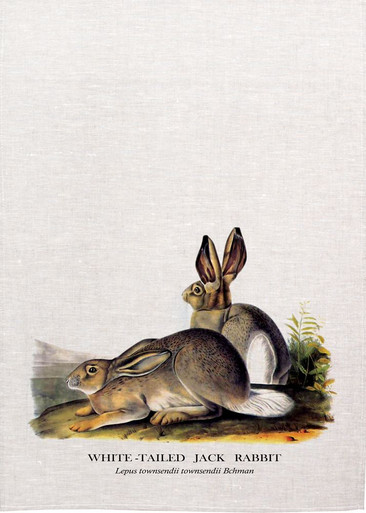 White Tailed Jack Rabbits Printed Tea Towel, Made In Australia