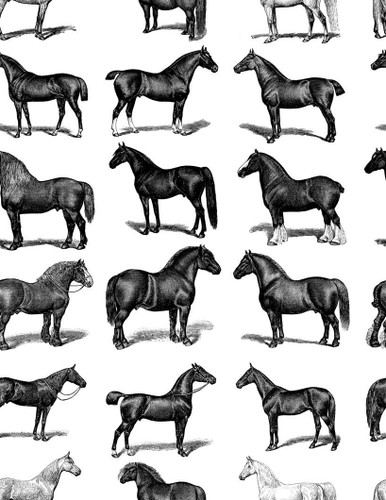 Horse Repeat Pattern FS368 Printed Tea Towel, Made In Australia