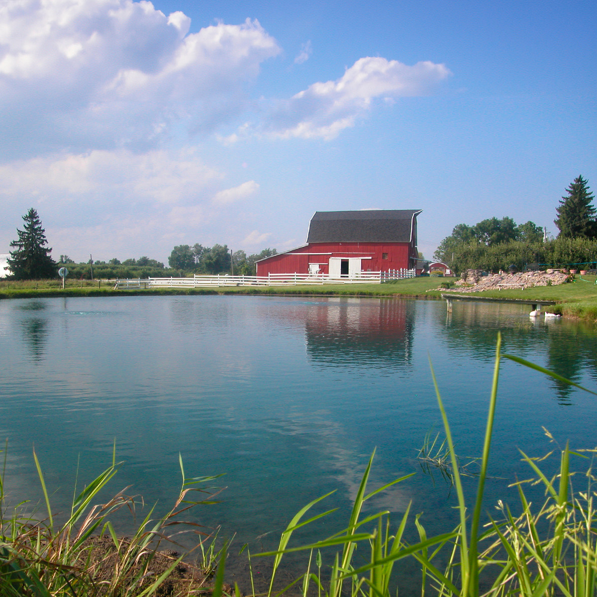 One Acre Lake Water Treatment Bundle | Blue Thumb