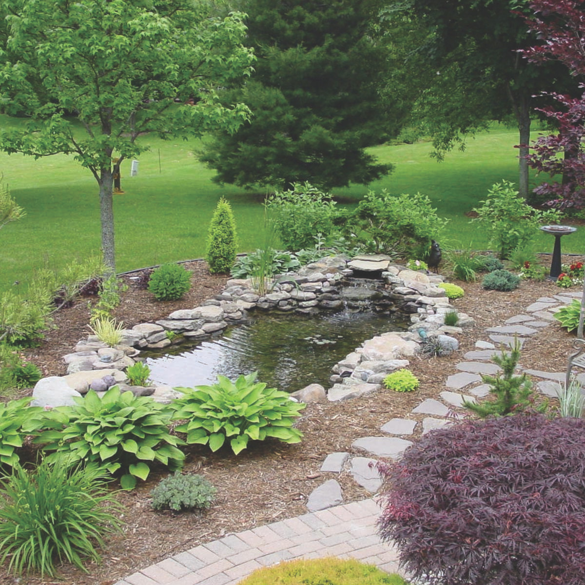 Pond Water Treatments | Buy Muck Buster Online | Blue Thumb