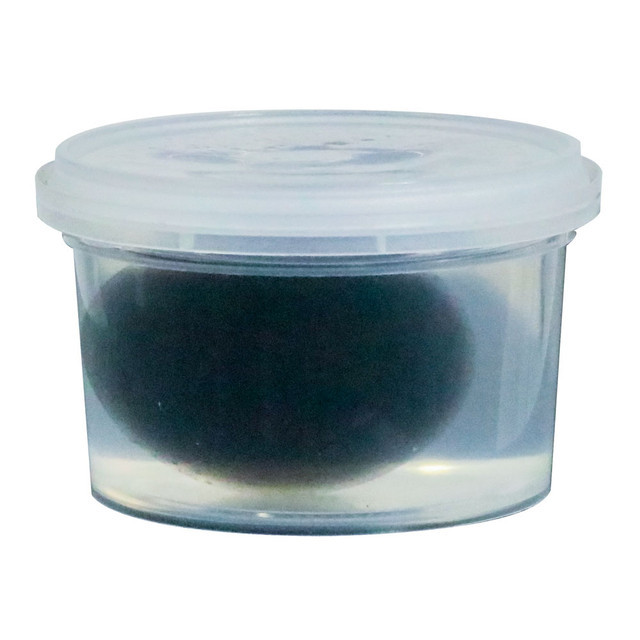 Pond Shock Balls