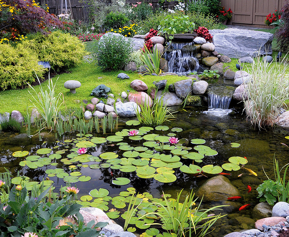Pond Waterfall | Fish Pond Pump | Blue Thumb