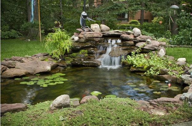 Finding the Right Pond Skimmer Boxes for Different-Sized Ponds - Blue Thumb