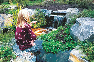 Aesthetics and Safety: Why Pondless Waterfall Systems Are Ideal for ...