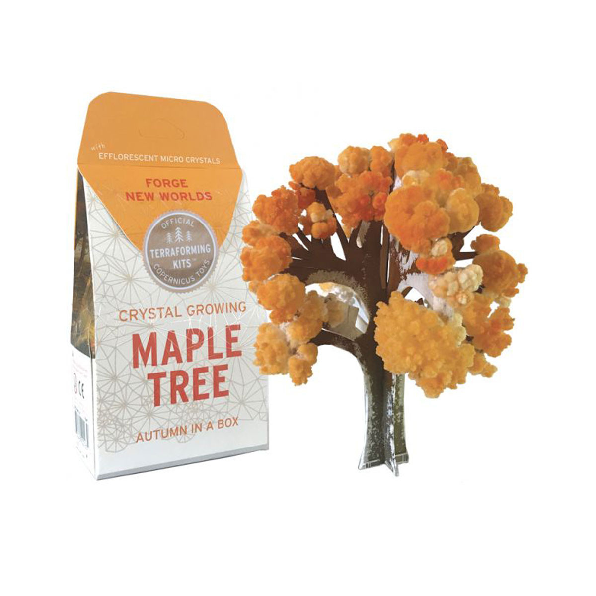 Crystal Growing Maple Tree - Sage Explorers