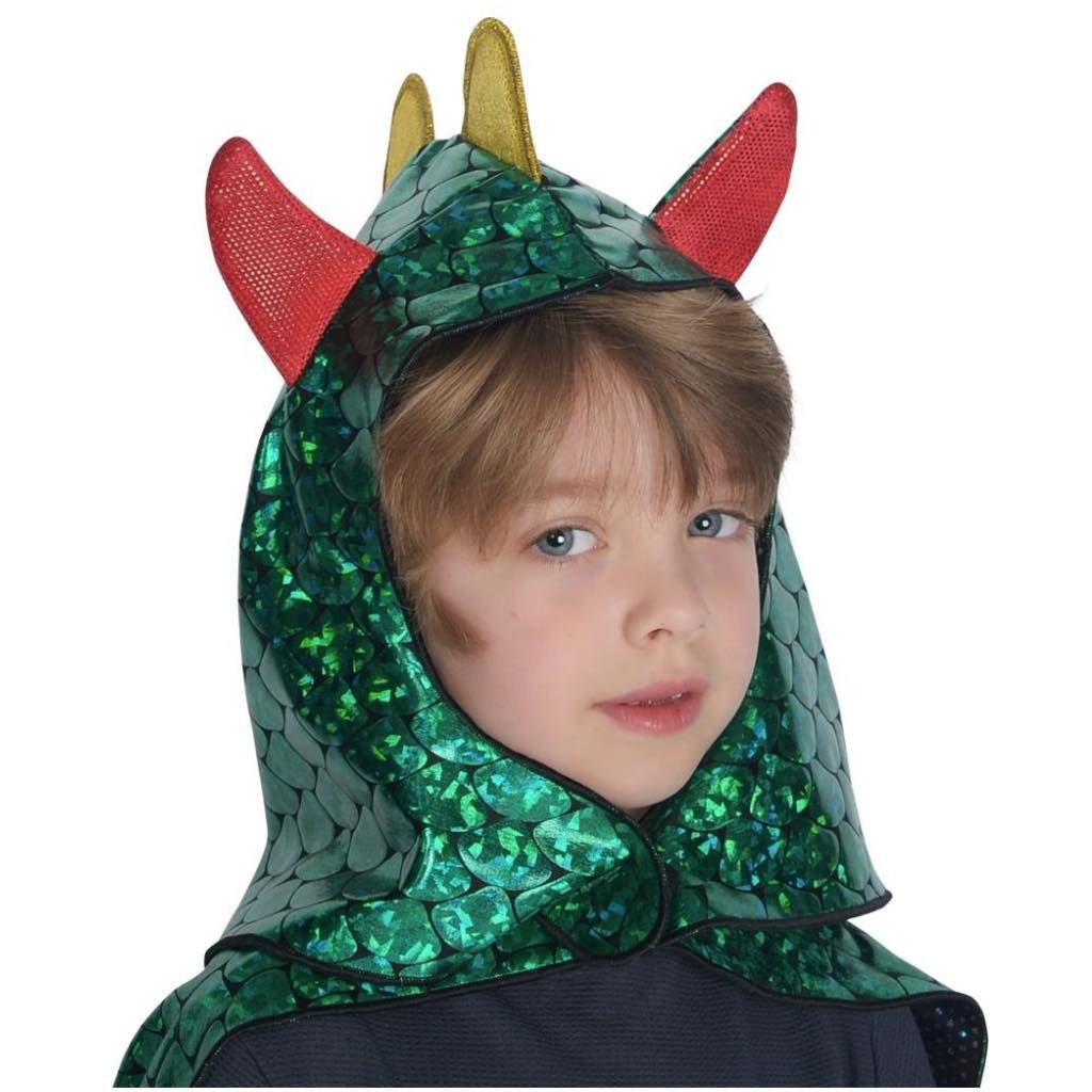 Dragon & Knight Reversible Set - Sage Explorers