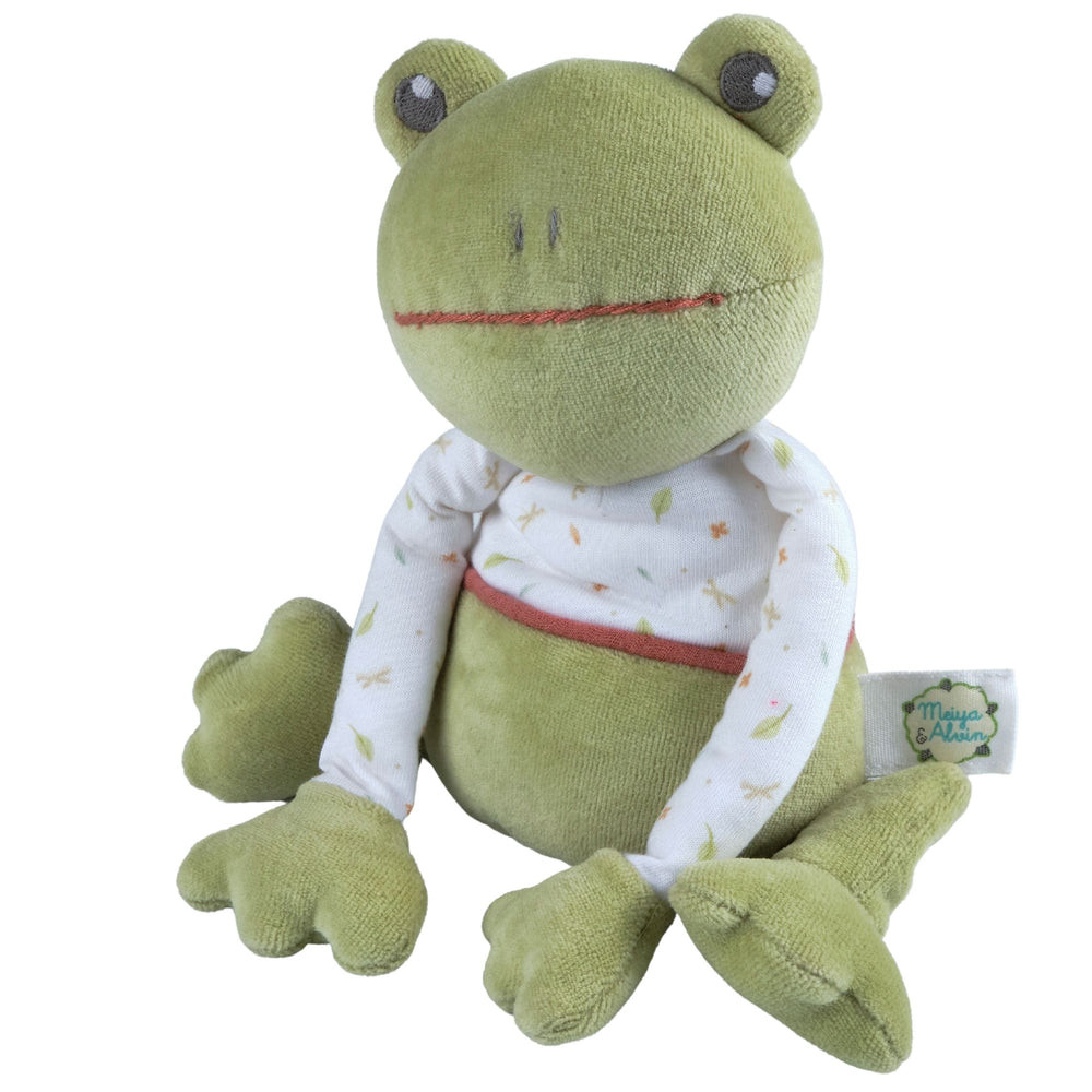 Gemba the Frog - Sage Explorers